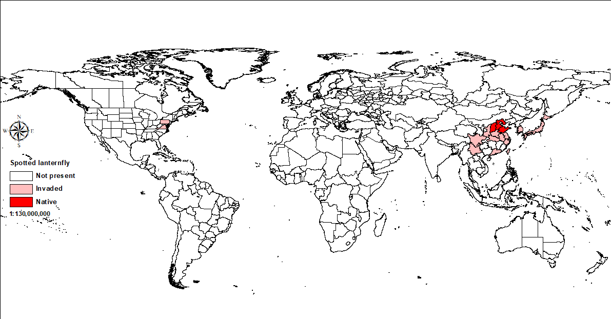 Spotted lanternfly | Biosecurity NZ | NZ Government